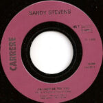 SANDY – J’ai faim de toi – Histoires des chansons